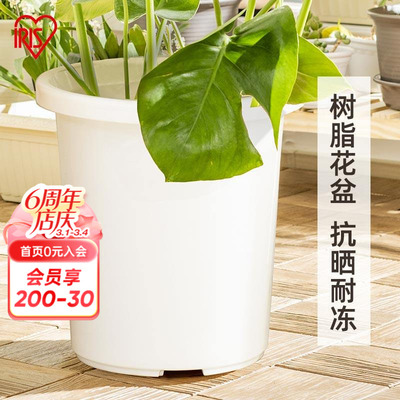 海蒂的花园旗舰店爱丽思TILT素雅简约树脂花盆月季绣球种植深型盆