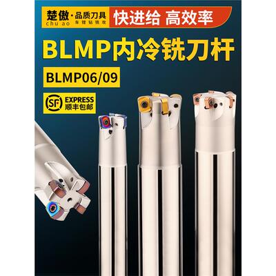 BLMP06/09内冷铣刀杆淬火