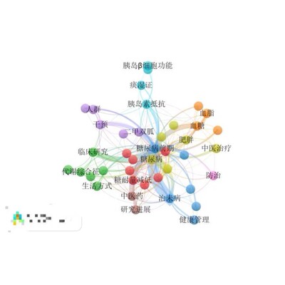 citespace知识图谱可视化图文献(高级版)