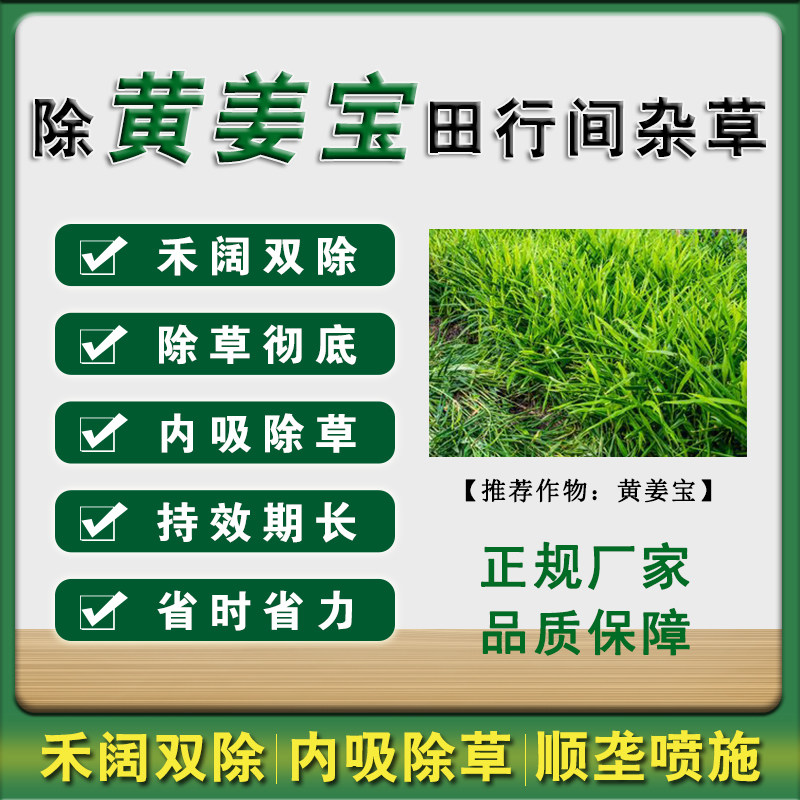 【黄姜宝专用除草】姜地专用苗后除草剂禾阔双除除草剂正品农药
