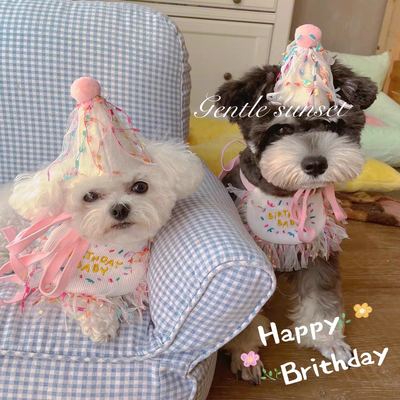 宠物猫咪狗狗派对生日帽围兜小狗口水兜口水巾比熊犬小猫帽子饰品