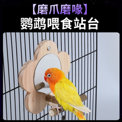 鹦鹉不锈钢鸟食杯磨砂站杆