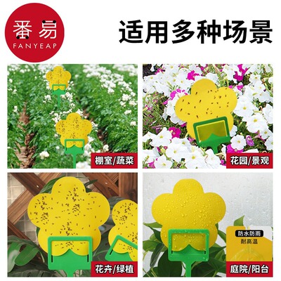 粘虫板B1pn001-小黄板双面小飞虫诱虫沾虫纸果蝇诱捕器防水耐高