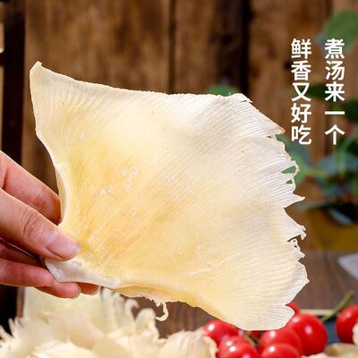 北海海狗翅蒲鱼翅软骨天狗干货
