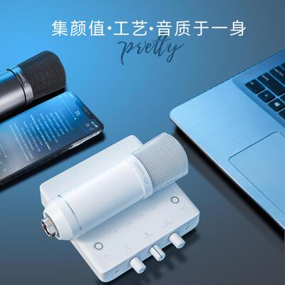 坦克/TERRATEC小钢炮大振膜专业电容录音K歌直播有声书麦克风话筒