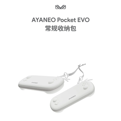 Ayaneo Pocket EVO定制收纳包 配件
