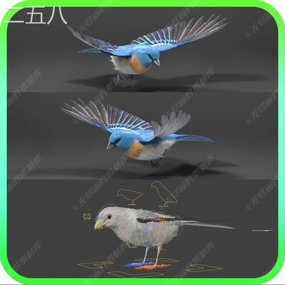 Blender蓝鹀鸟写实鸟类动画3D模型 Lazuli Bunting Bird Animated
