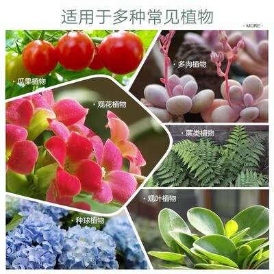 苏古米水溶肥智利SQM大量元素冲施 速溶全水溶平衡性高钾滴灌