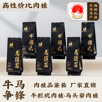 2026新茶武夷山特级肉桂岩茶