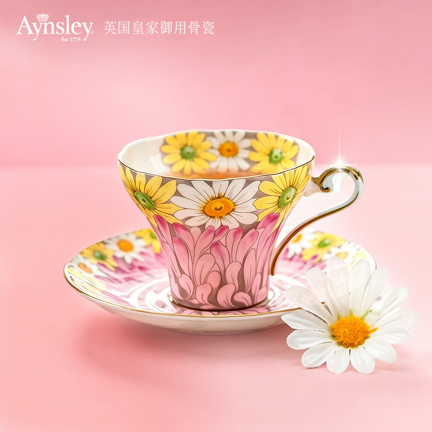 Aynsley安斯丽雏菊骨瓷咖啡杯碟套装礼盒英式下午茶茶杯生日礼物