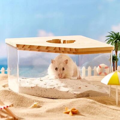 Hamster Golden Bear Sand Bath Box Acrylic Fully Transparent