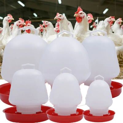 Plastic Poultry Drinker Chick Waterer Hanging Chicken Water