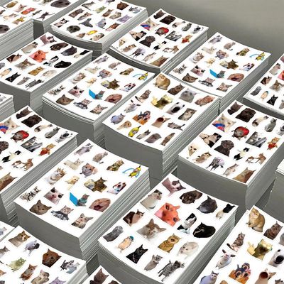 爆款猫meme贴纸沙雕抽象表情包