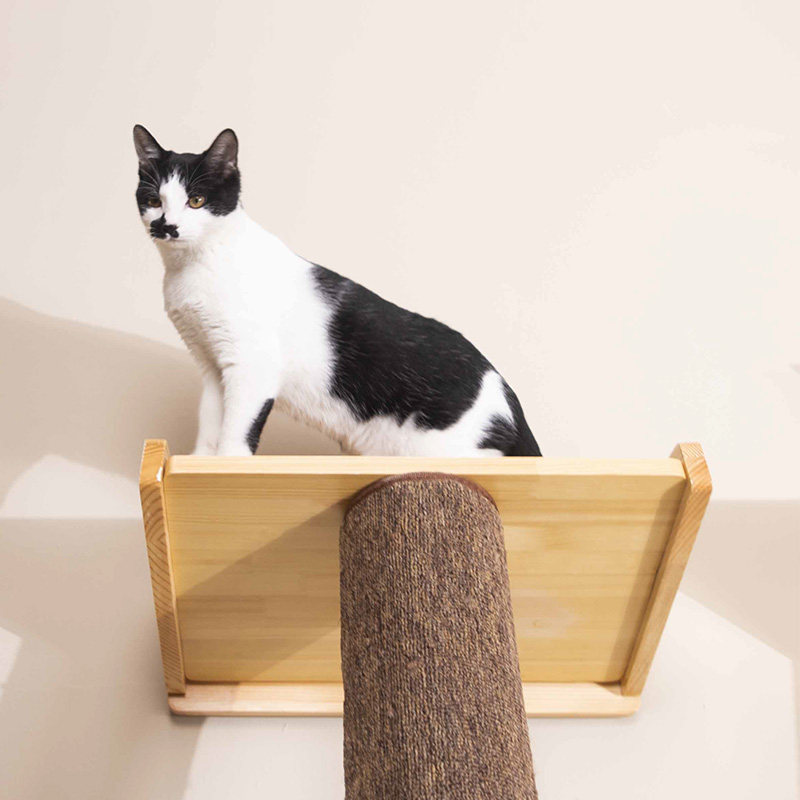 墙壁猫窝猫树 实木猫爬架剑麻通天柱 加吊床跳台猫抓柱