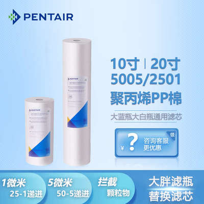 Pentair DGD-5005/2501大蓝瓶过滤大胖10寸/20寸1/5微米PP棉滤芯