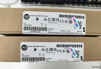 1756-L81ES AB 罗克韦尔 全新原装正品 实物图议价商品