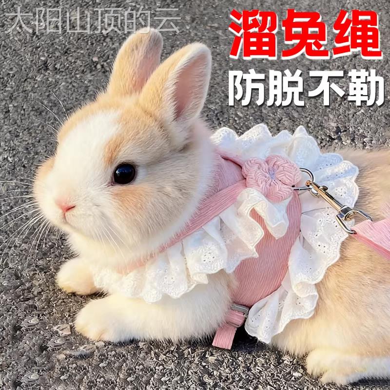 通用型家用子引遛兔专用防牵挣脱兔子兔绳绳子遛兔兔绳小侏溜儒兔