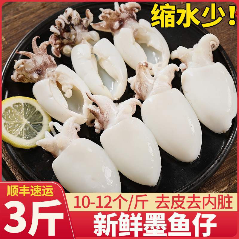 墨鱼仔生鲜冷冻新鲜小墨鱼鲜活海鲜水产商用批发去皮去内脏小目鱼