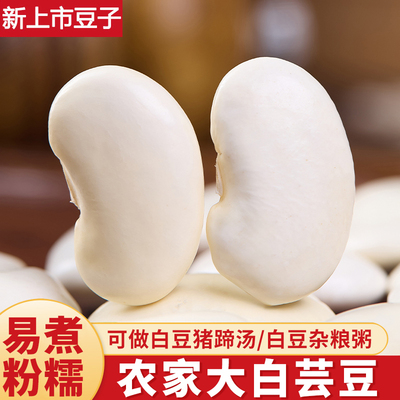 大白芸豆白腰豆雪豆四川农家新货