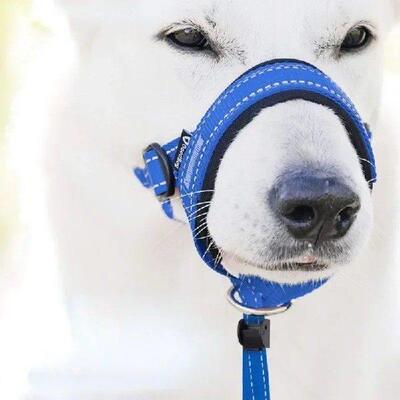 Dog Muzzles Anti Bark Adjustable Nose Mouth Set Training