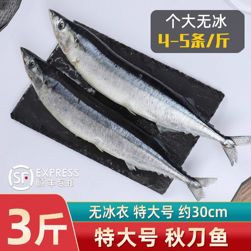 秋刀鱼新鲜冷冻刀鱼海鲜海鱼水产日式烧烤食材深海秋刀鱼顺丰包邮
