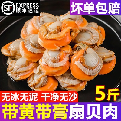 威海特大鲜冻带黄带膏扇贝肉