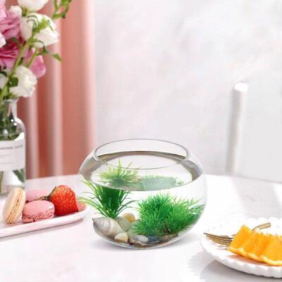 Home Accessories Glass Fish Tank Goldfish Bowls Filter