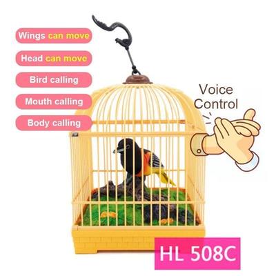 Family pet bird toys talking birds pet birds pet bird cage e