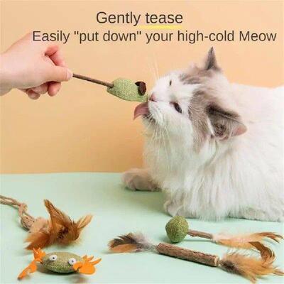 Pet Catnip Toys Wooden Polygonum Catnip Cat Cat Mint Tooth