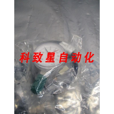 工业配件IPS 122 TYPE 2 INDICATE PRESSURE SWITCH 80VDC 60 MA