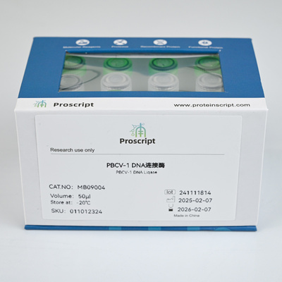 PBCV-1 DNA连接酶 MB09004 科研试剂 现货供应