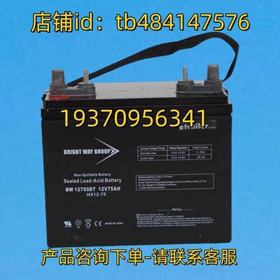 BRIGHT WAY GROUP 蓄电池 BW12750DT 12V75AH HX12-75 电池