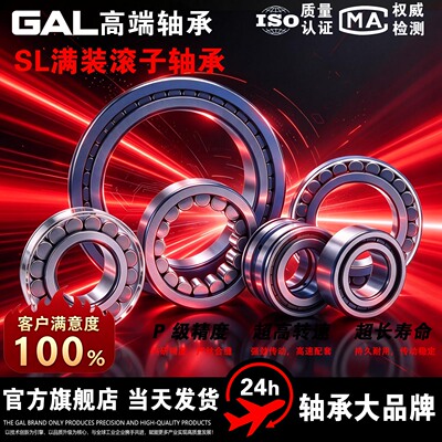德国进口GAL轴承SL 192310 192311 192312 192313 192314-A-XL-C3