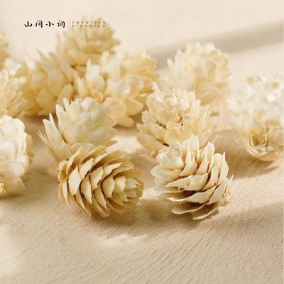 【漂白落叶松果】天然植物加工花松花圣诞花环制作手工diy材料