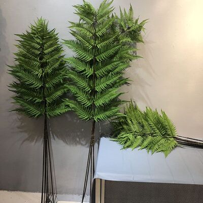 金丝猴蕨 大厥叶仿真植物绿植蕨草波斯树枝仿真绿植景观家居装饰