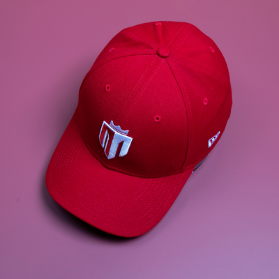 New Era 39Thirty LBPN Cap