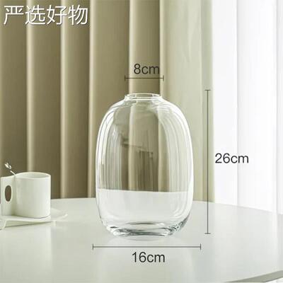 【全国包邮】高感大肚醉玻璃花瓶明水培吊钟马木绿透植专用客厅插