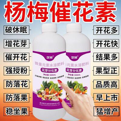 杨梅花坐果保花保果肥