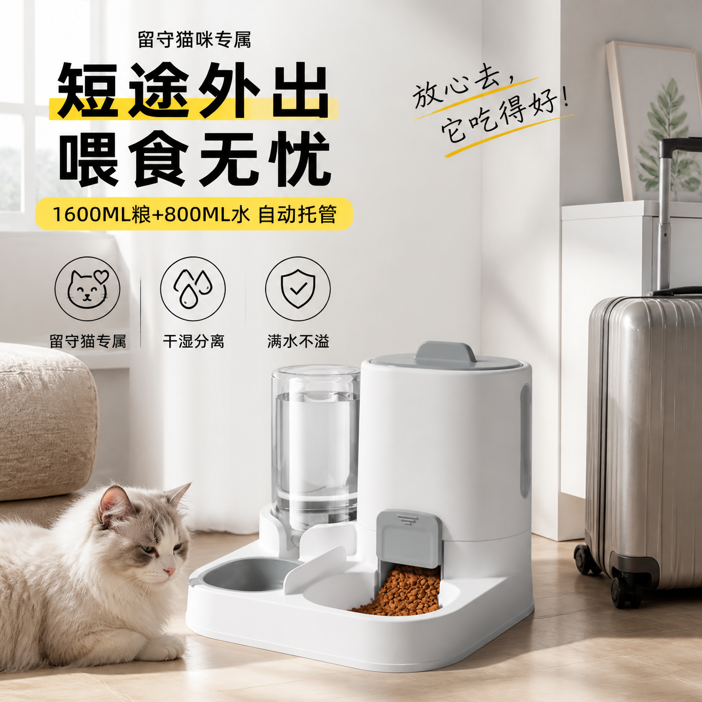 宠物/宠物食品及用品 猫/狗饮食用品 猫狗碗/慢食碗 76%