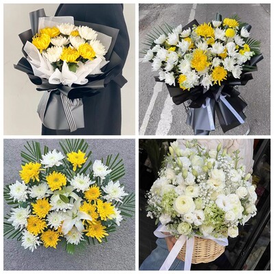 岳阳市临湘市汨罗市岳阳县菊花鲜