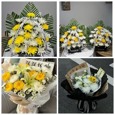 黔东南州黎平县岑巩丹寨县菊花鲜