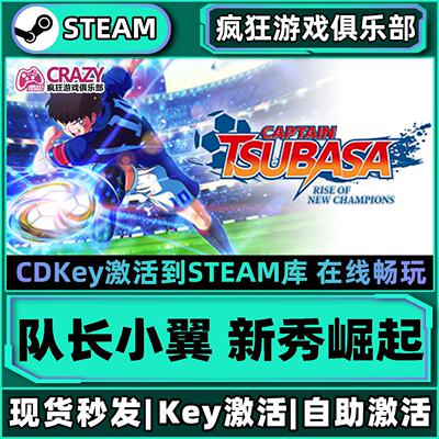 Steam正版队长小翼新秀