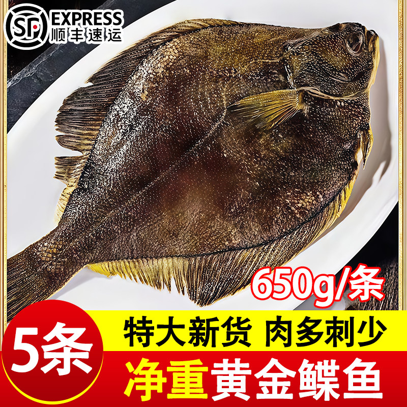 黄金鲽鱼新鲜碟鱼身大号比目鱼蝶鱼新鲜冷冻整条深海鸦片鱼商用