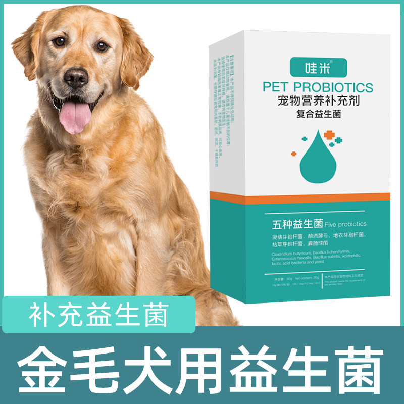 金毛犬用益生菌粉宠物犬用小幼犬成犬肠道活性菌狗狗益生元