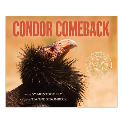 英文原版 Condor Comeback 秃鹫 动物纪实科普 英文版 进口英语原版书籍