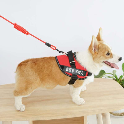 极速Explosion-proof dog dog traction rope Kuji dog rope dog