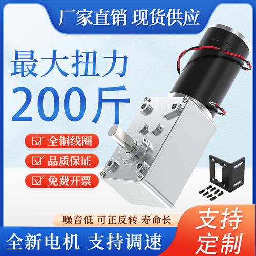 涡轮蜗杆减速电机机器人驱动马达12V开窗器 24V5840-31ZY自锁电机