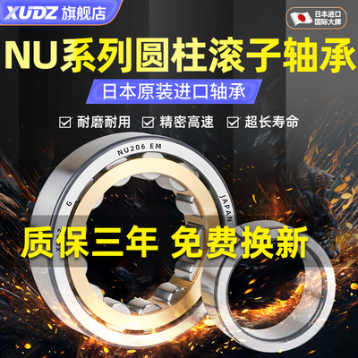 日本进口XUDZ圆柱滚子轴承NU304 305 306 307 308 309 310 311EM