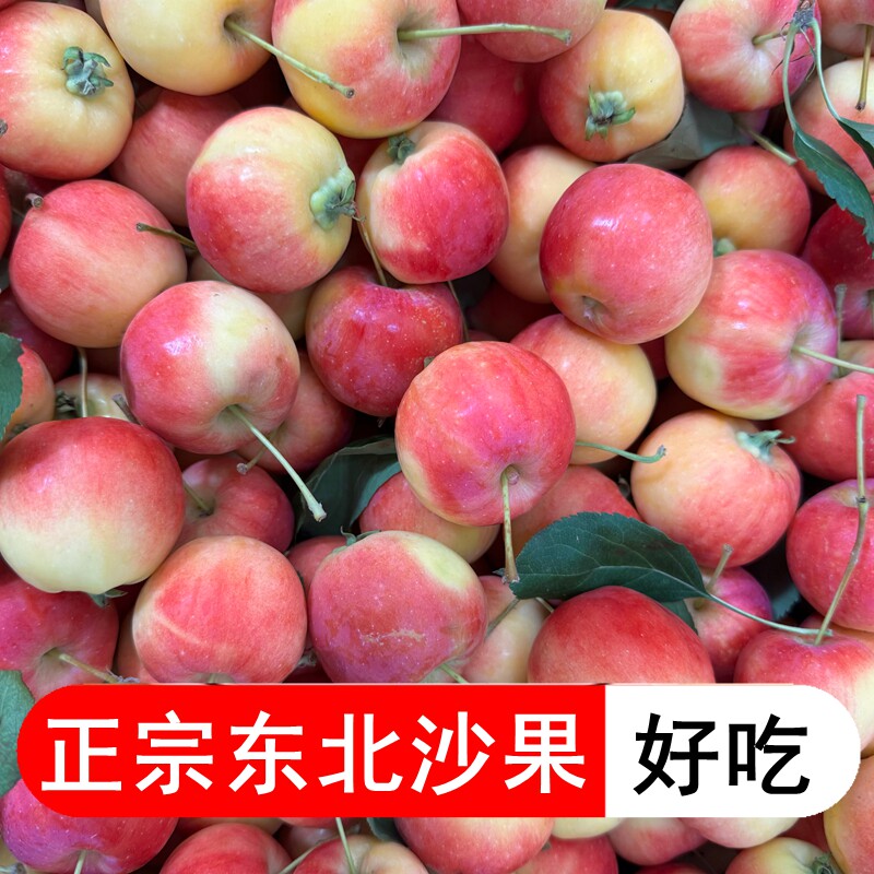 东北青果海棠果酸甜沙果孕妇现摘小苹果特产应季新鲜黄太平水果