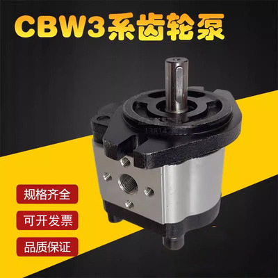 齿轮泵液压油泵CBW-F304